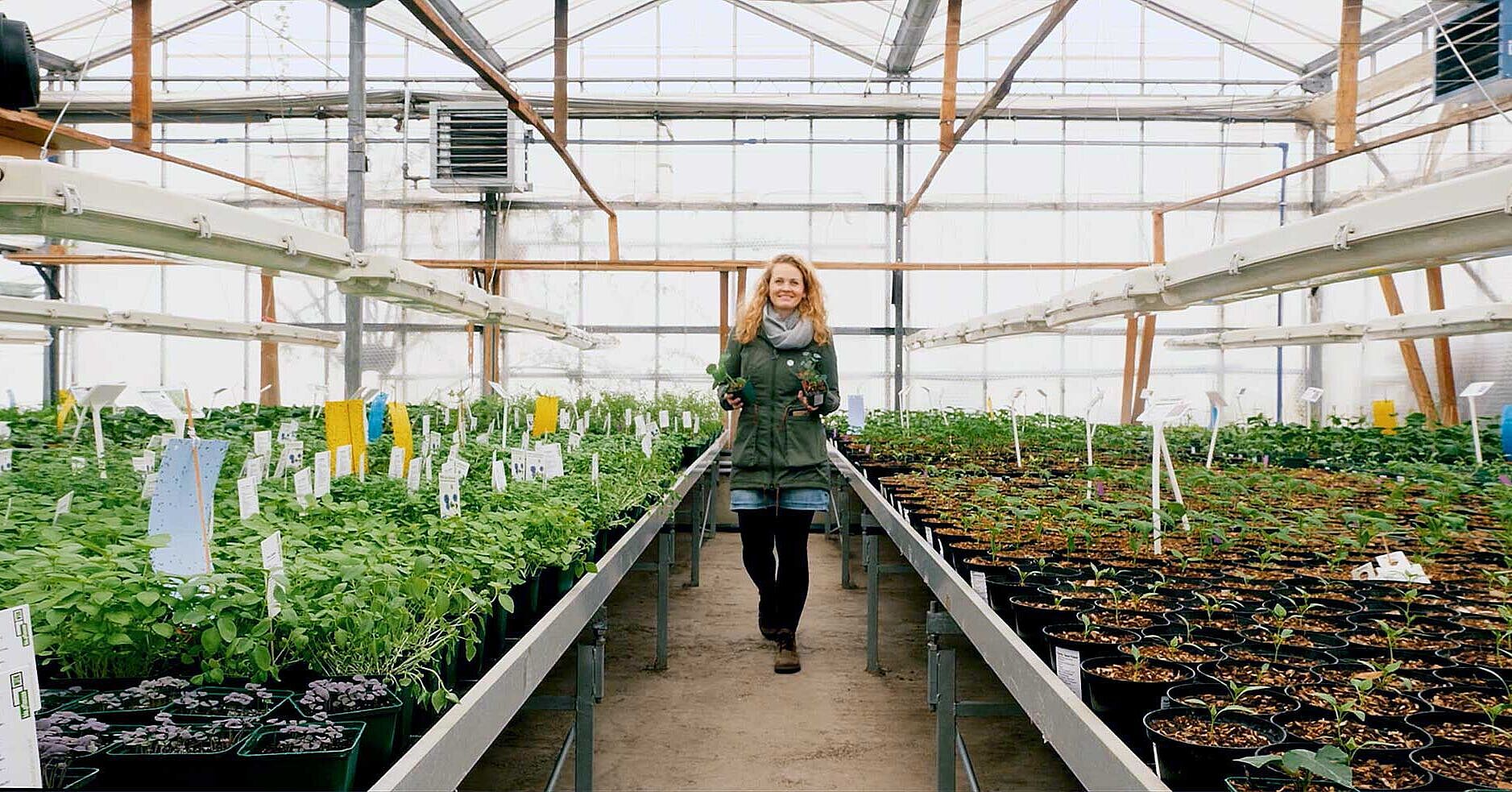 Frisches Bio-Gemüse aus dem Marchfeld bestellen und in Wien abholen